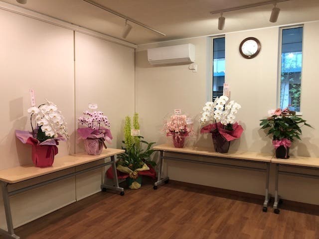 福岡市中央区の音楽スタジオ！グランドピアノ・グランドハープ・エレクトーン設置！練習・ミニコンサートに！の写真12