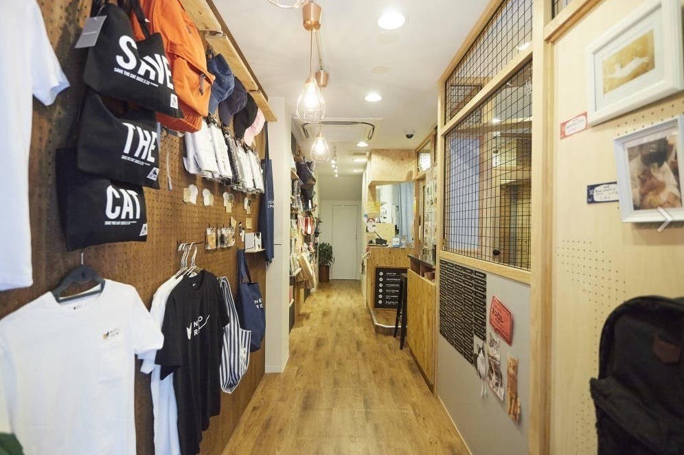 利用者さん全員！ネコビルスペシャル特割オプションの画像3