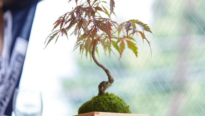 女子会・ママ会・会議・撮影などに!の写真4