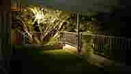 Big Tree JUDOハウスの写真2