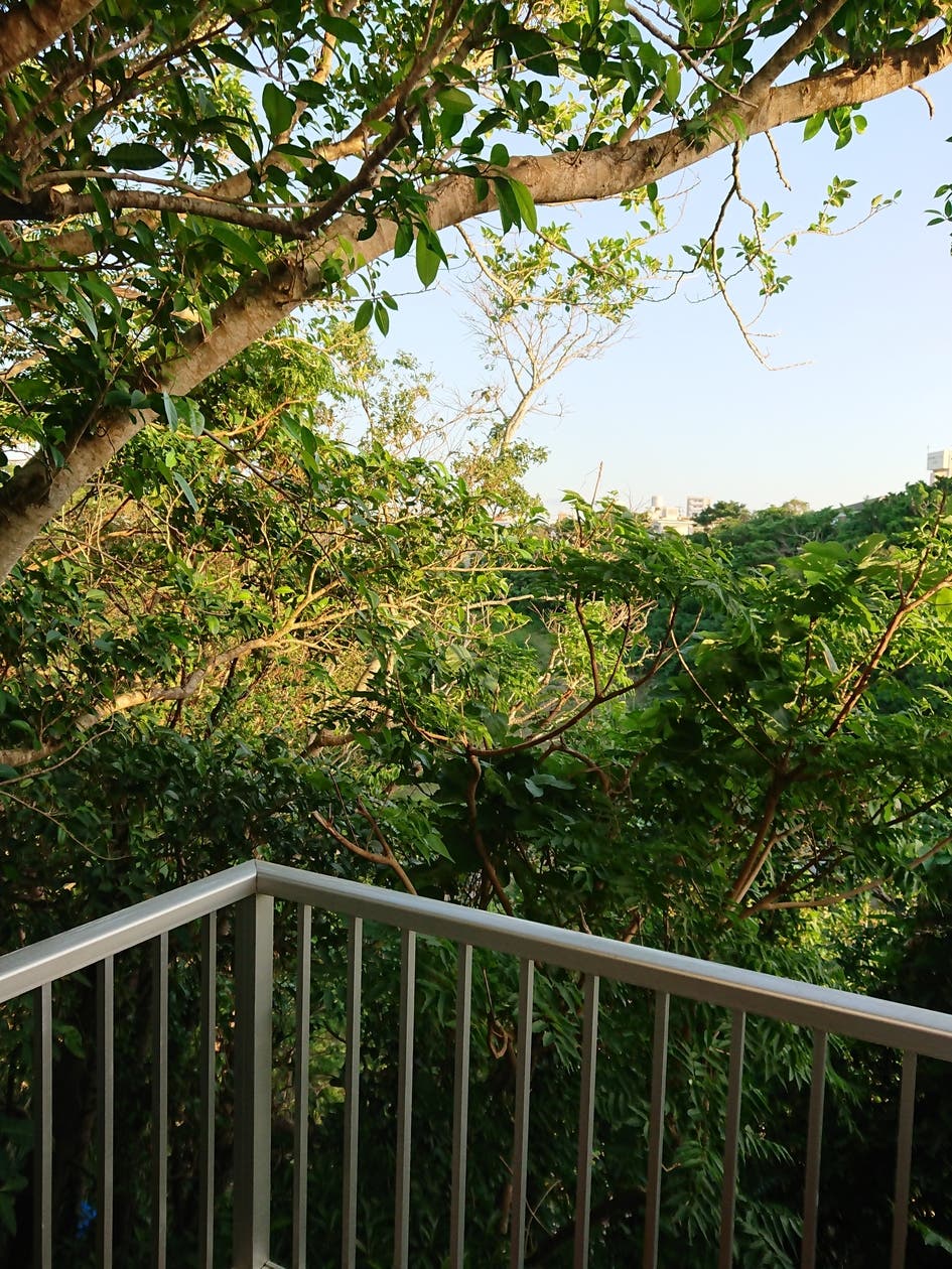 FOREST BIRD JUDOハウスの写真6