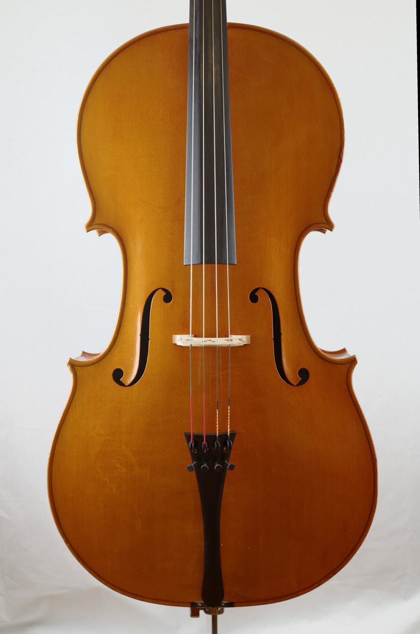 レナート・スクロラベッツァ　チェロの画像1