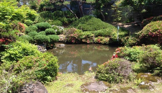 会津時代庭園の写真1