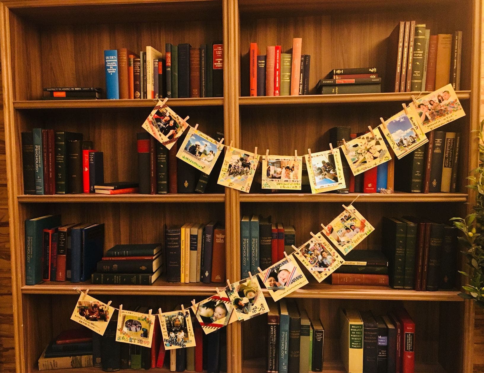 【南森町・天満】ガーデンラウンジ　駅から徒歩5分❗隠れ家🏠おしゃれ✨大人数OK❗️パーティー🌸撮影📸多用途の写真22