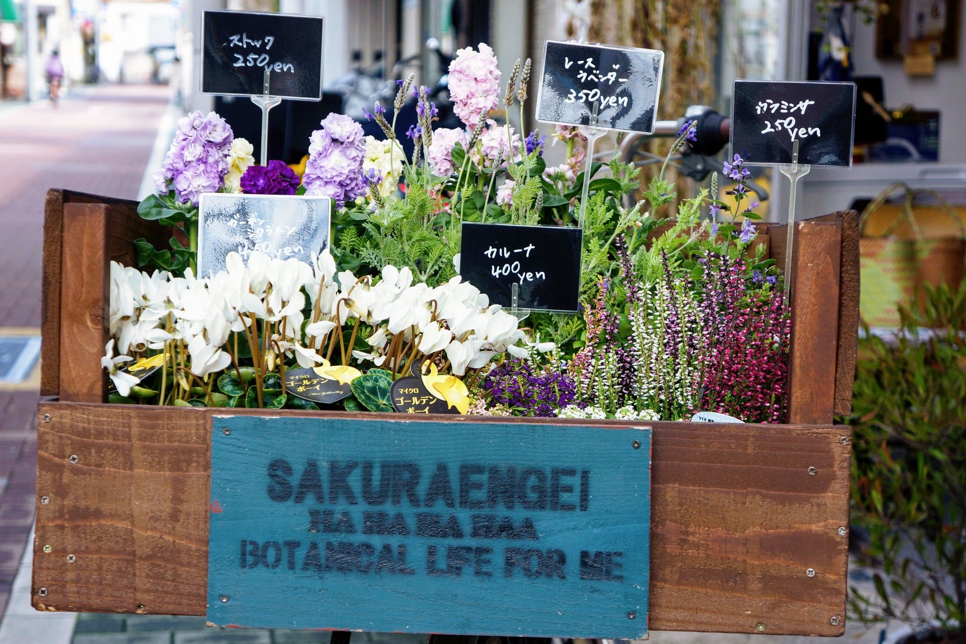 商店街に面した喫茶店（営業中）の軒下スペース。フリマ、野菜販売などに！の写真6