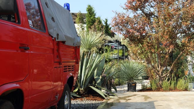 所沢 撮影やBBQやパーティーを希少植物に囲まれた異空間で!100人収容可能です!の写真4