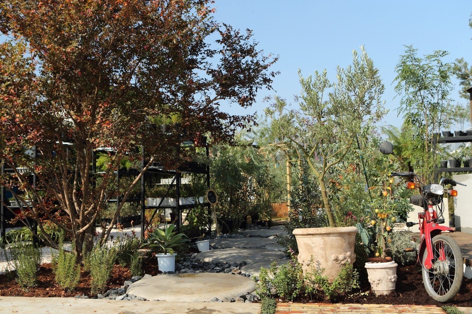 所沢　撮影やＢＢＱやパーティーを希少植物に囲まれた異空間で！１００人収容可能です！の写真6