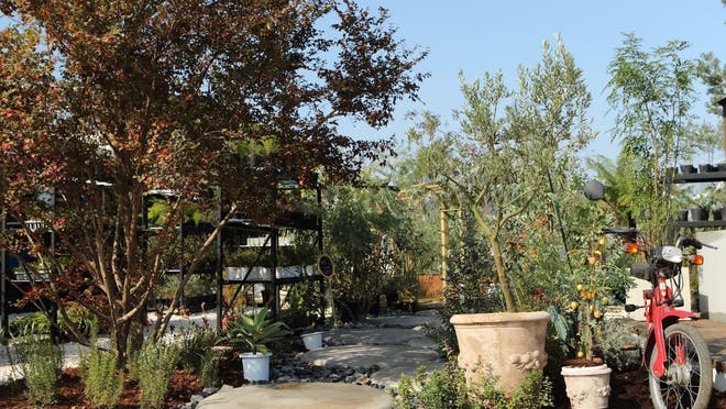 所沢 撮影やBBQやパーティーを希少植物に囲まれた異空間で!100人収容可能です!の写真6