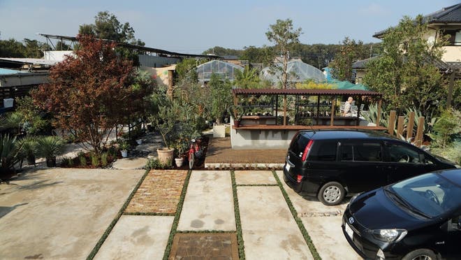 所沢 撮影やBBQやパーティーを希少植物に囲まれた異空間で!100人収容可能です!の写真11