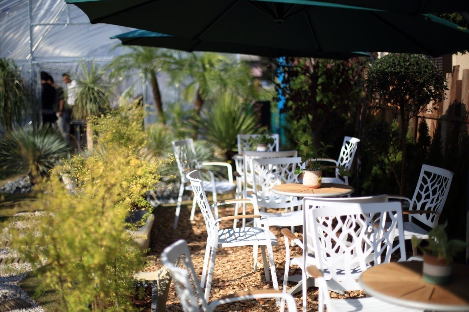 所沢　撮影やＢＢＱやパーティーを希少植物に囲まれた異空間で！１００人収容可能です！の写真13