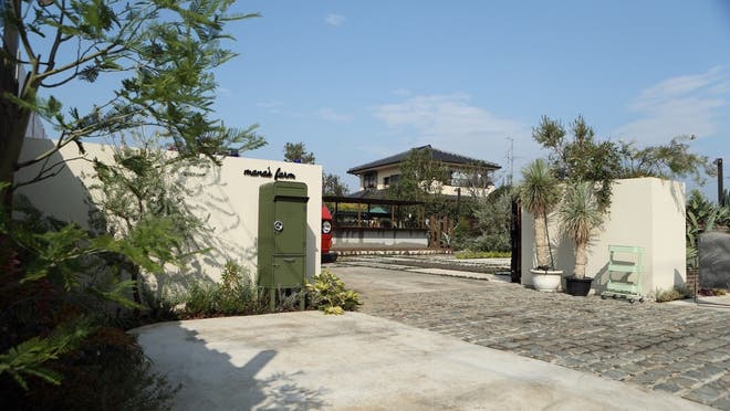 所沢 撮影やBBQやパーティーを希少植物に囲まれた異空間で!100人収容可能です!の写真3