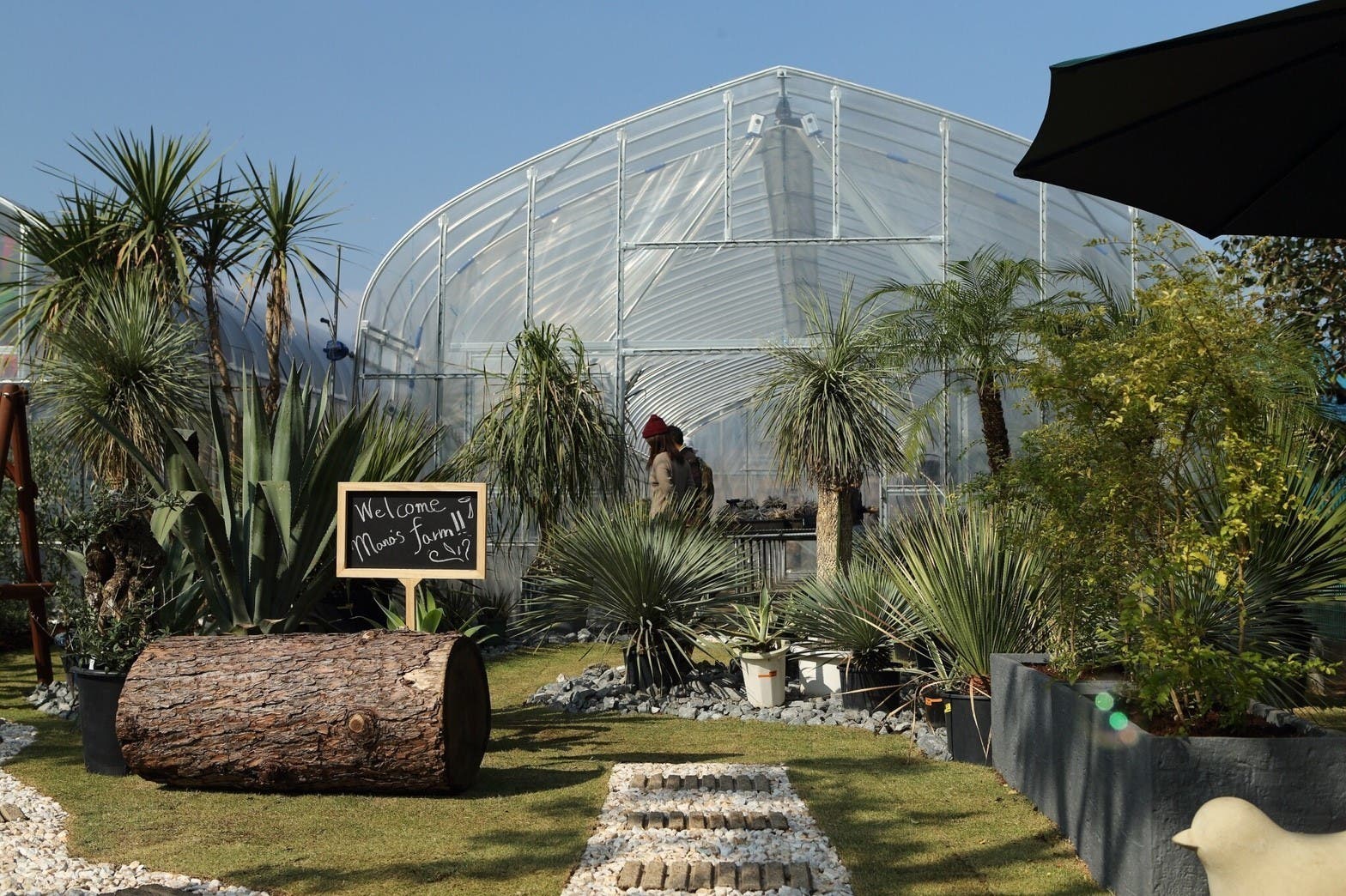 所沢　撮影やＢＢＱやパーティーを希少植物に囲まれた異空間で！１００人収容可能です！の写真8