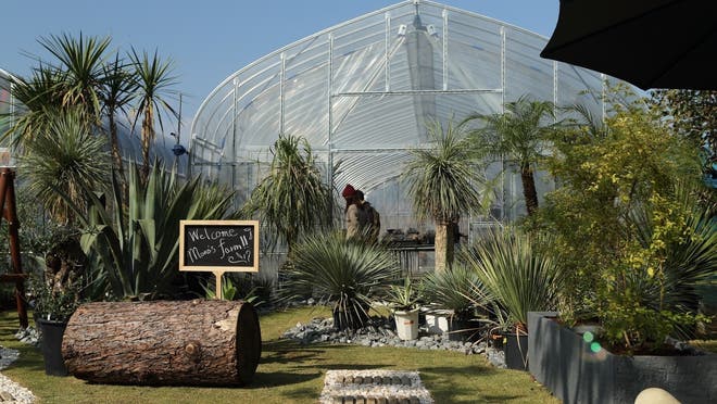 所沢 撮影やBBQやパーティーを希少植物に囲まれた異空間で!100人収容可能です!の写真8