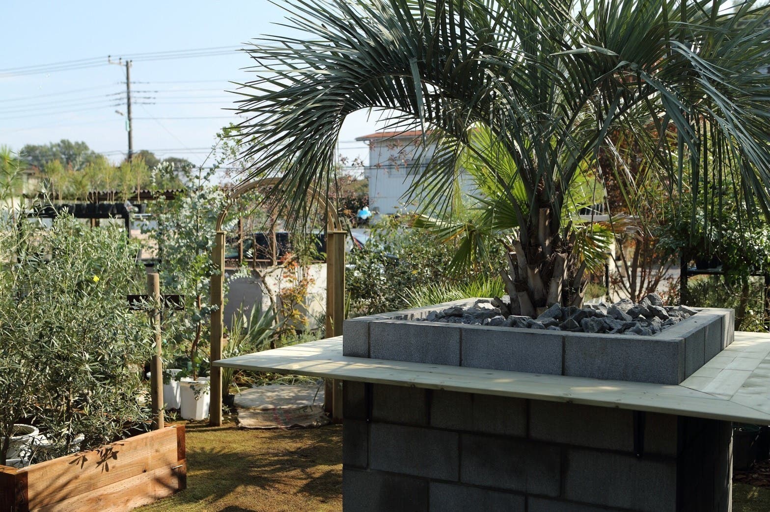 所沢　撮影やＢＢＱやパーティーを希少植物に囲まれた異空間で！１００人収容可能です！の写真10