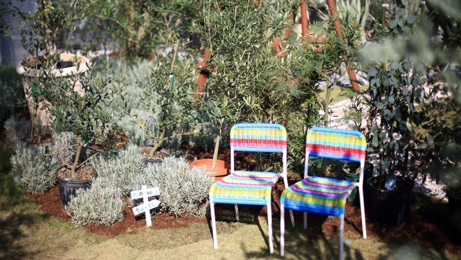 所沢 撮影やBBQやパーティーを希少植物に囲まれた異空間で!100人収容可能です!の写真12