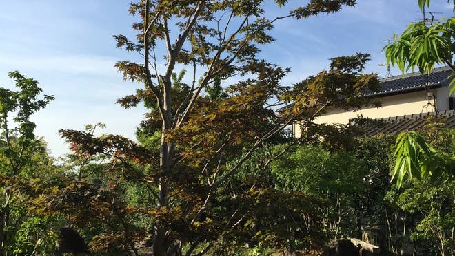 200年の歴史を体感し、非日常を感じる空間を活用スペースの写真3