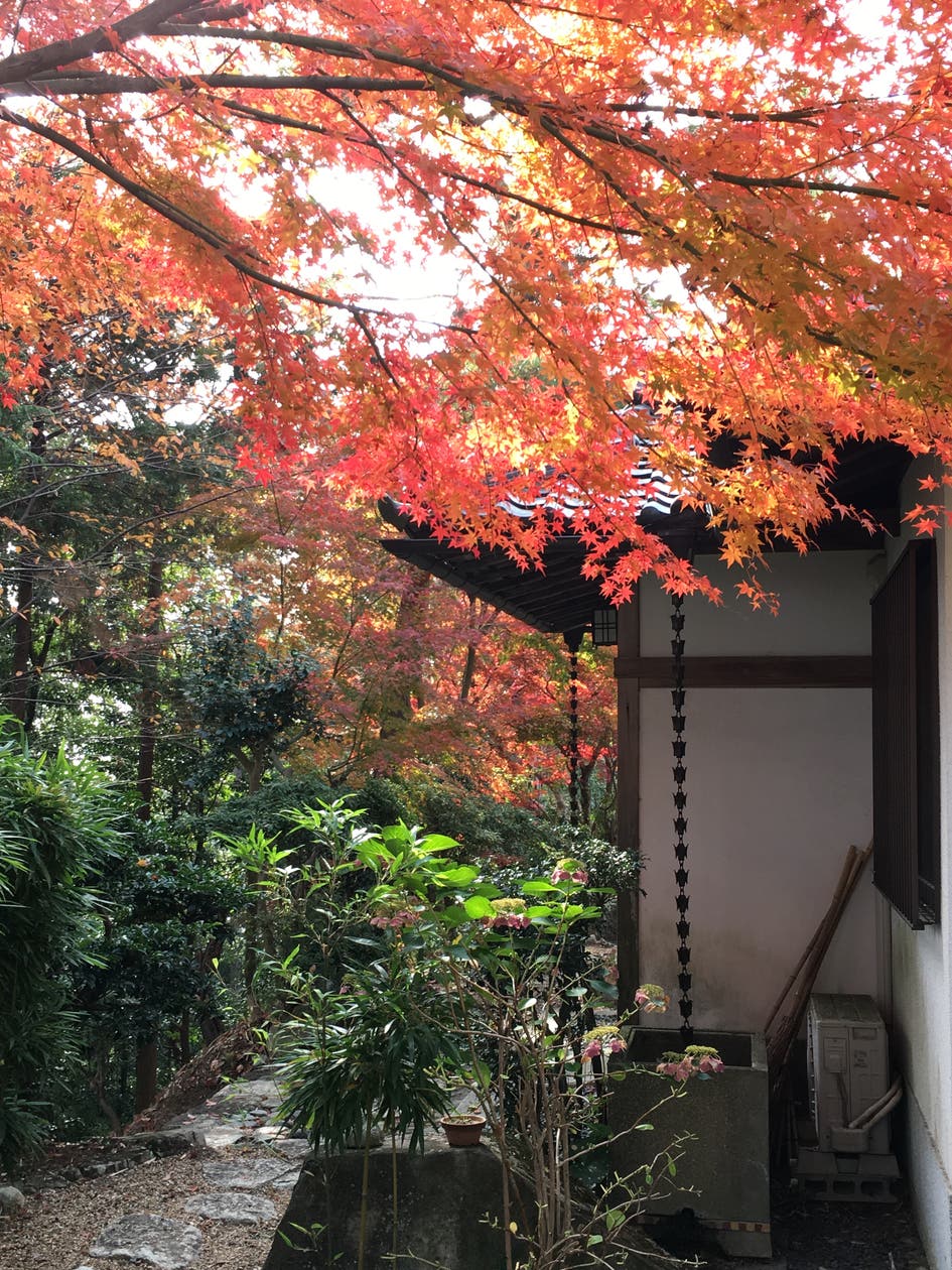 通尾天神山 松風庵　　　のど黒飴CM舞台ですの写真18