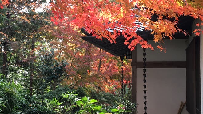 通尾天神山 松風庵 のど黒飴CM舞台ですの写真18
