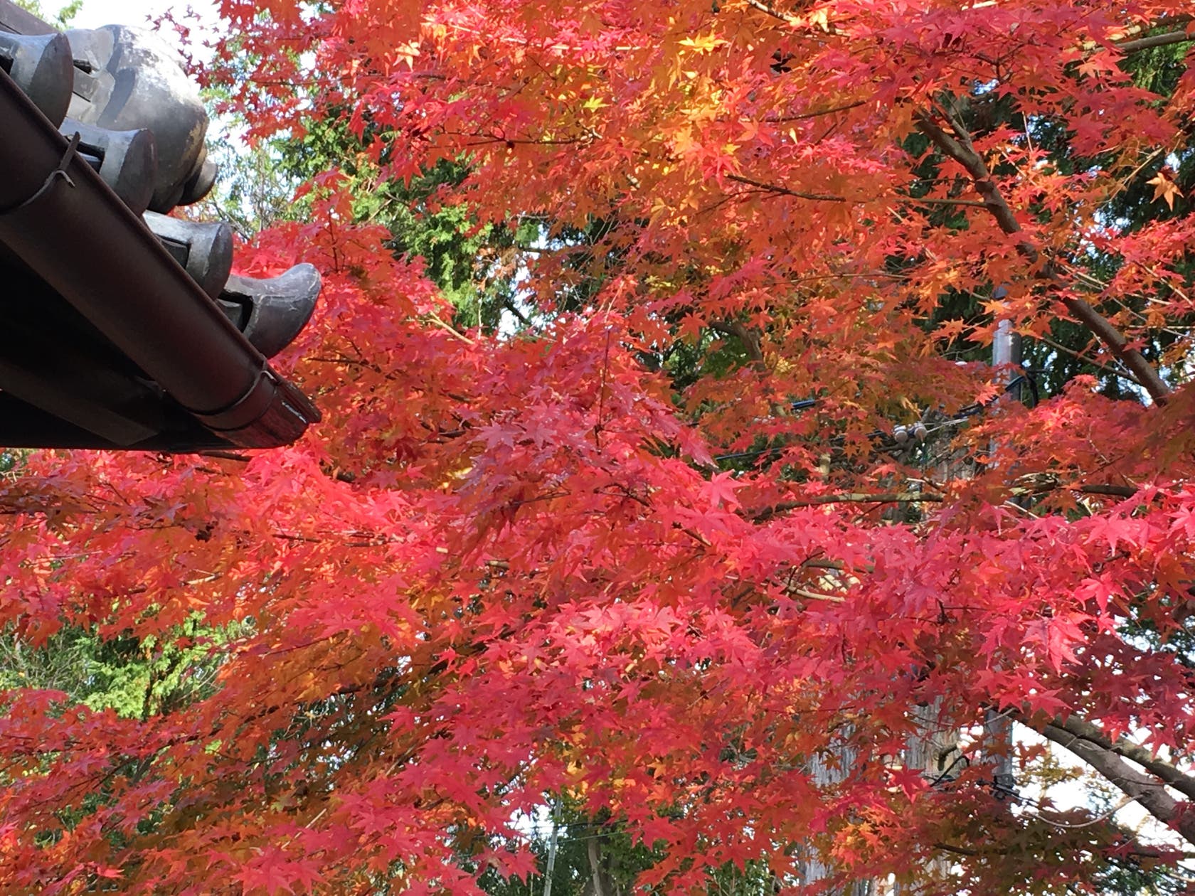 通尾天神山 松風庵　　　のど黒飴CM舞台ですの写真19