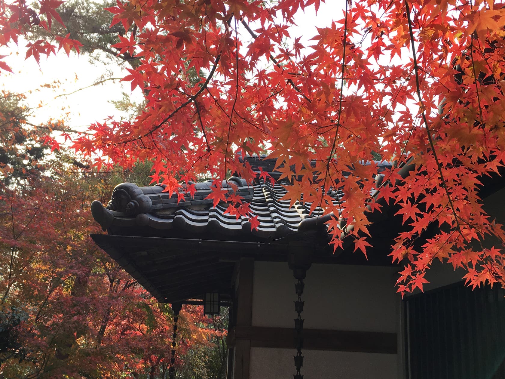 通尾天神山 松風庵　　　のど黒飴CM舞台ですの写真20