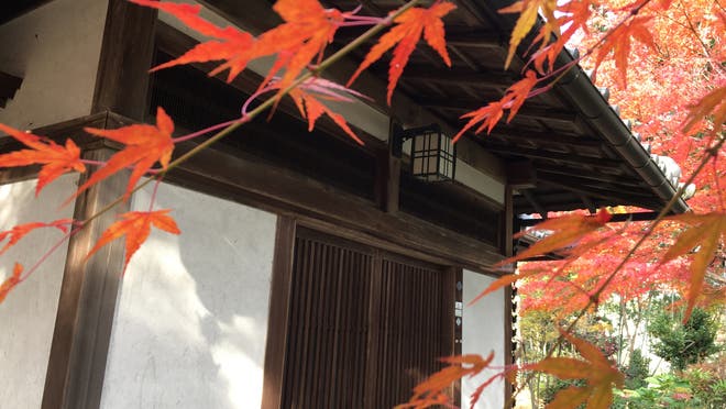 通尾天神山 松風庵 のど黒飴CM舞台ですの写真21