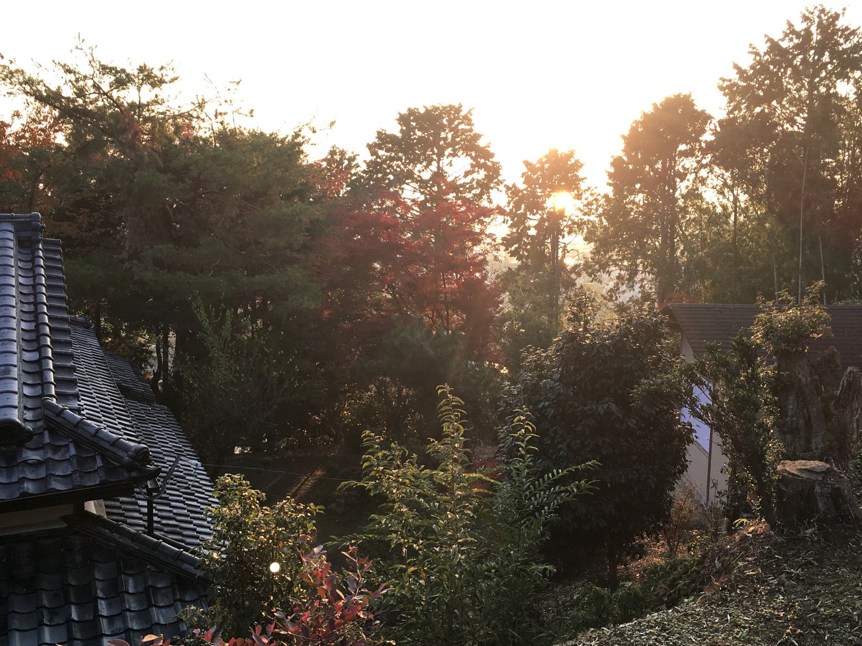 通尾天神山 松風庵　　　のど黒飴CM舞台ですの写真22