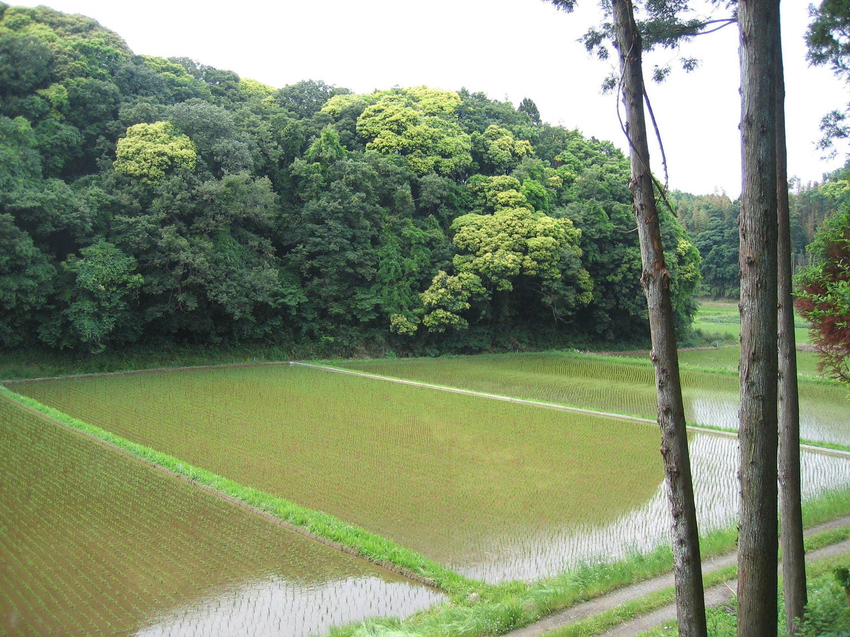 【ひらやま治兵衛】築135年古民家を貸切で動画／コスプレ撮影会などに‼ 打掛レンタル無料の写真29