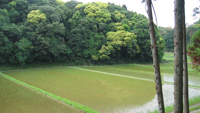 【ひらやま治兵衛】築135年古民家を貸切で動画/コスプレ撮影会などに‼ 打掛レンタル無料の写真29