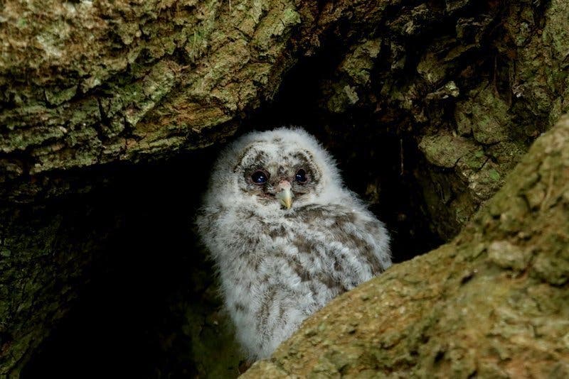【ひらやま治兵衛】築135年古民家を貸切で動画／コスプレ撮影会などに‼ 打掛レンタル無料の写真26