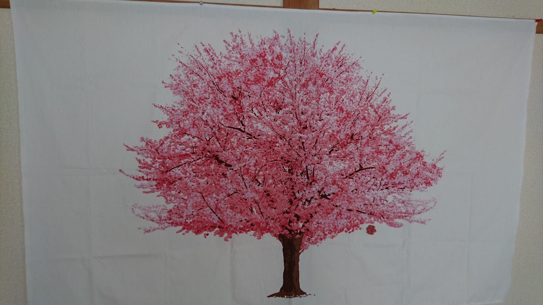 『大分市中戸次』　完全個室和室　子供連れ大歓迎！無料駐車場！無料Wi-Fiあり！の写真8