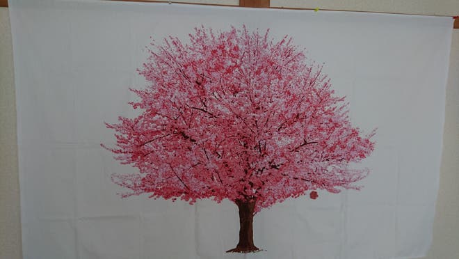 『大分市中戸次』 完全個室和室 子供連れ大歓迎!無料駐車場!無料Wi-Fiあり!の写真8