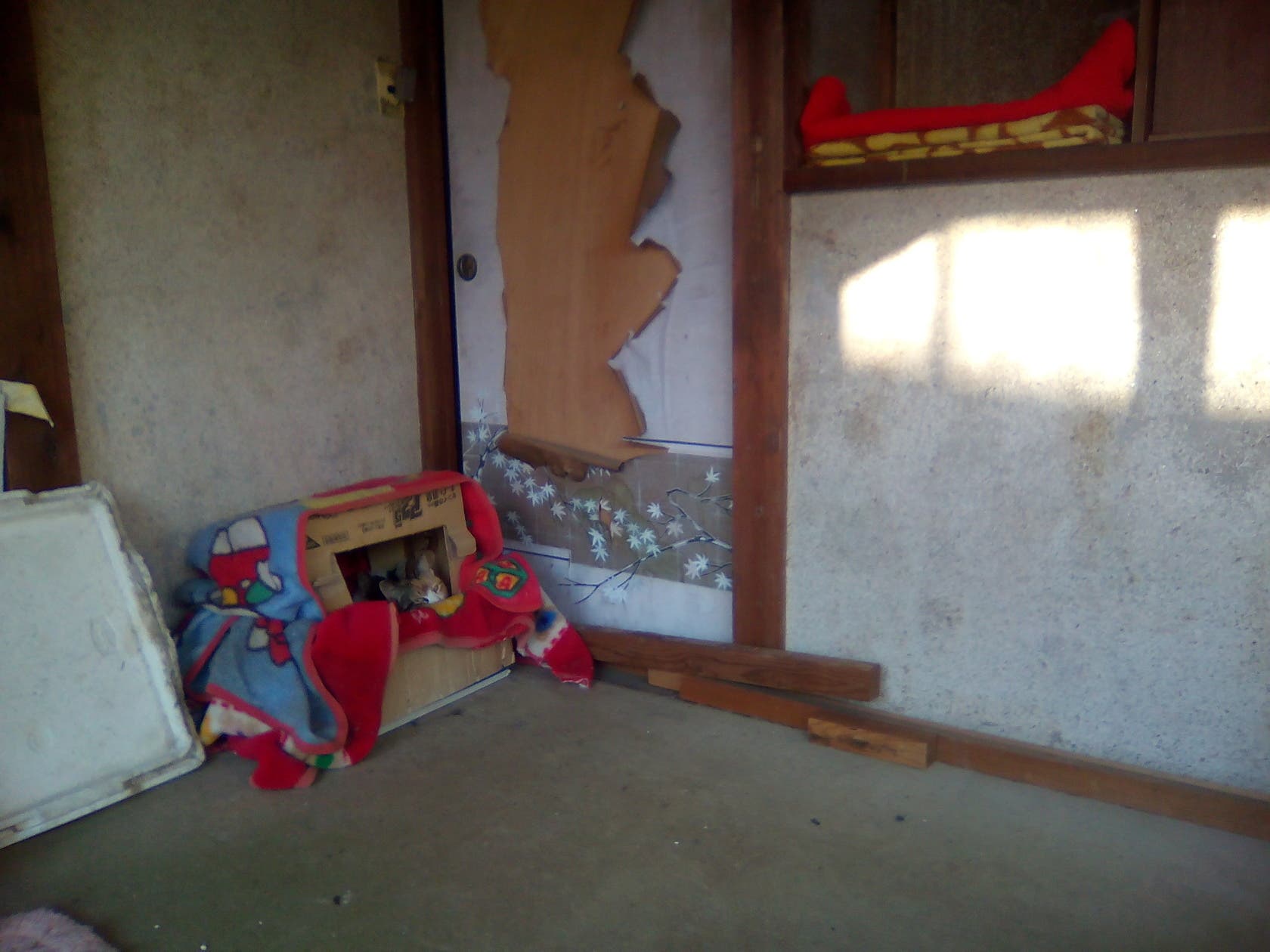 会議、塾開催、軽作業、ペットの一時預りスペースの写真5