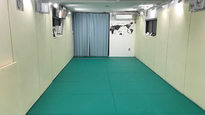 コンパクトな多目的スペース。畳なので裸足で運動ができます。の写真1