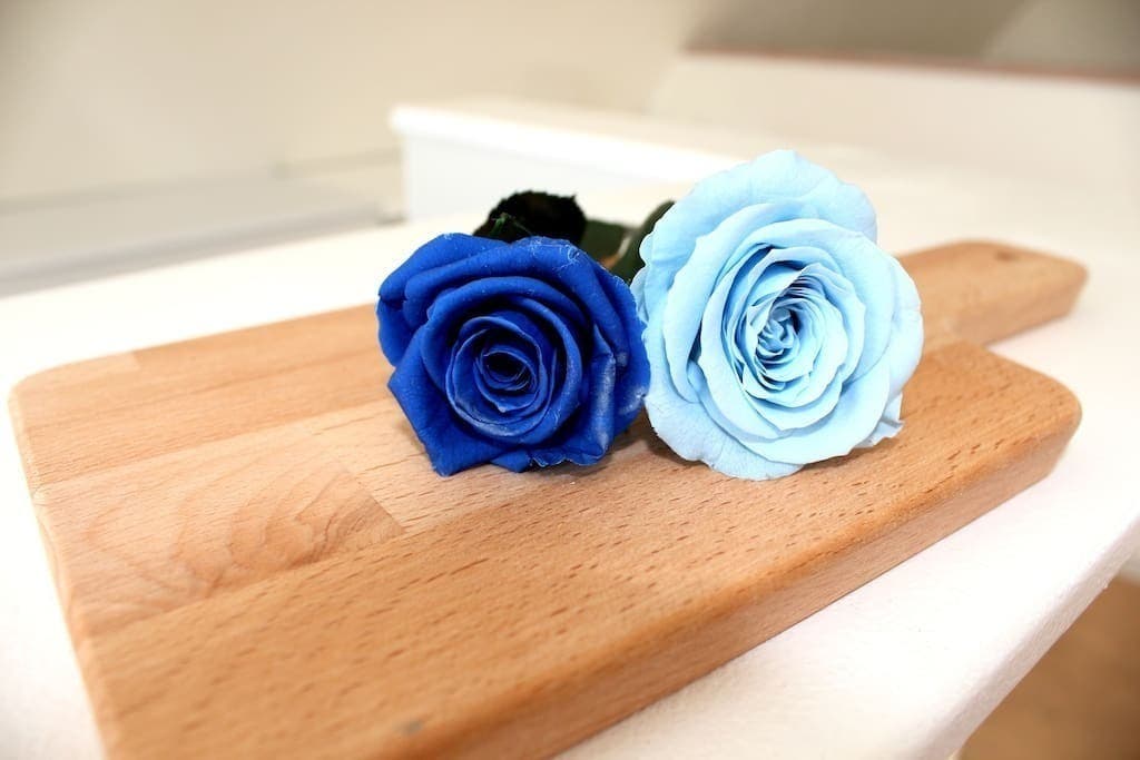 フリースペースのlivingと繋がるおおきなバルコニーの写真22