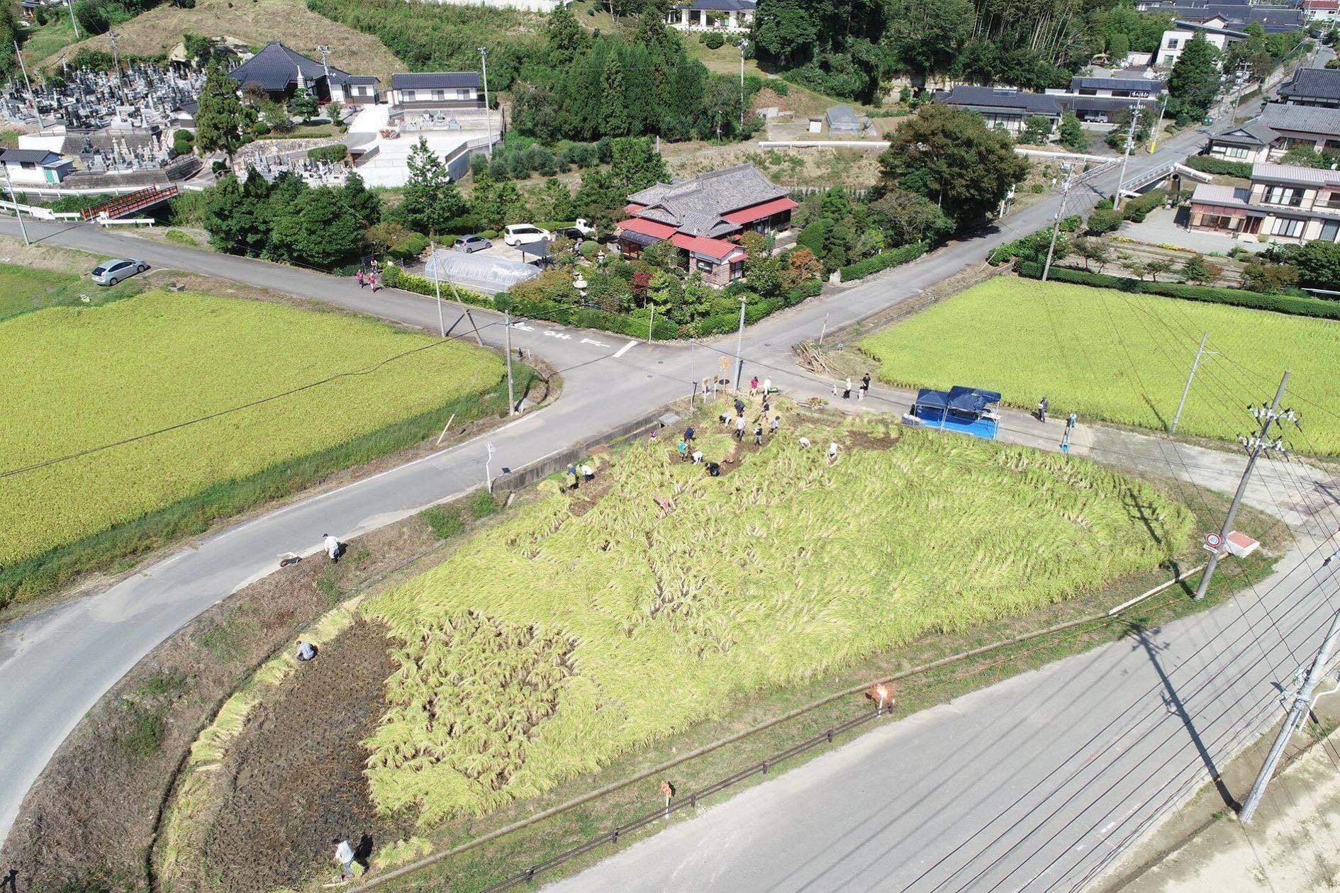 築70年の古民家を再生した交流拠点。囲炉裏・キッチン・バス有り。の写真12