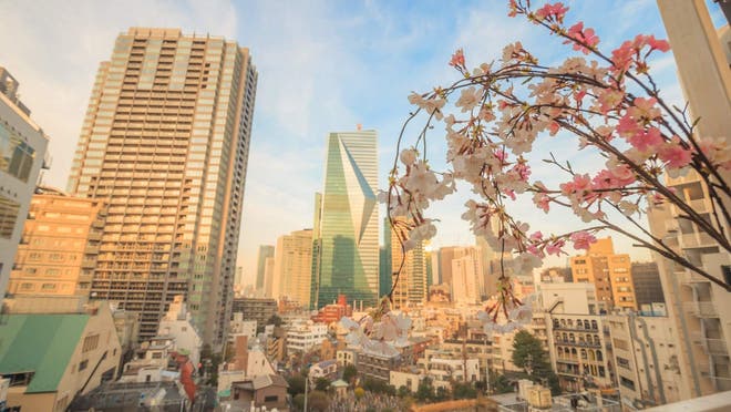 <屋上テラス&店内スペース>六本木の街並み一望出来るロケーション!BBQ・女子会・花見(夜桜)・会議利用などに!の写真3