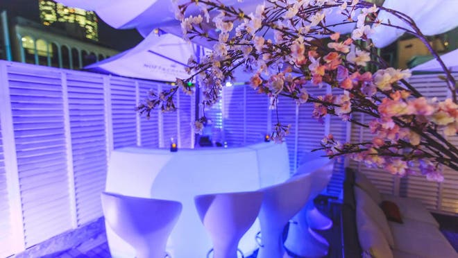 <屋上テラス&店内スペース>六本木の街並み一望出来るロケーション!BBQ・女子会・花見(夜桜)・会議利用などに!の写真15