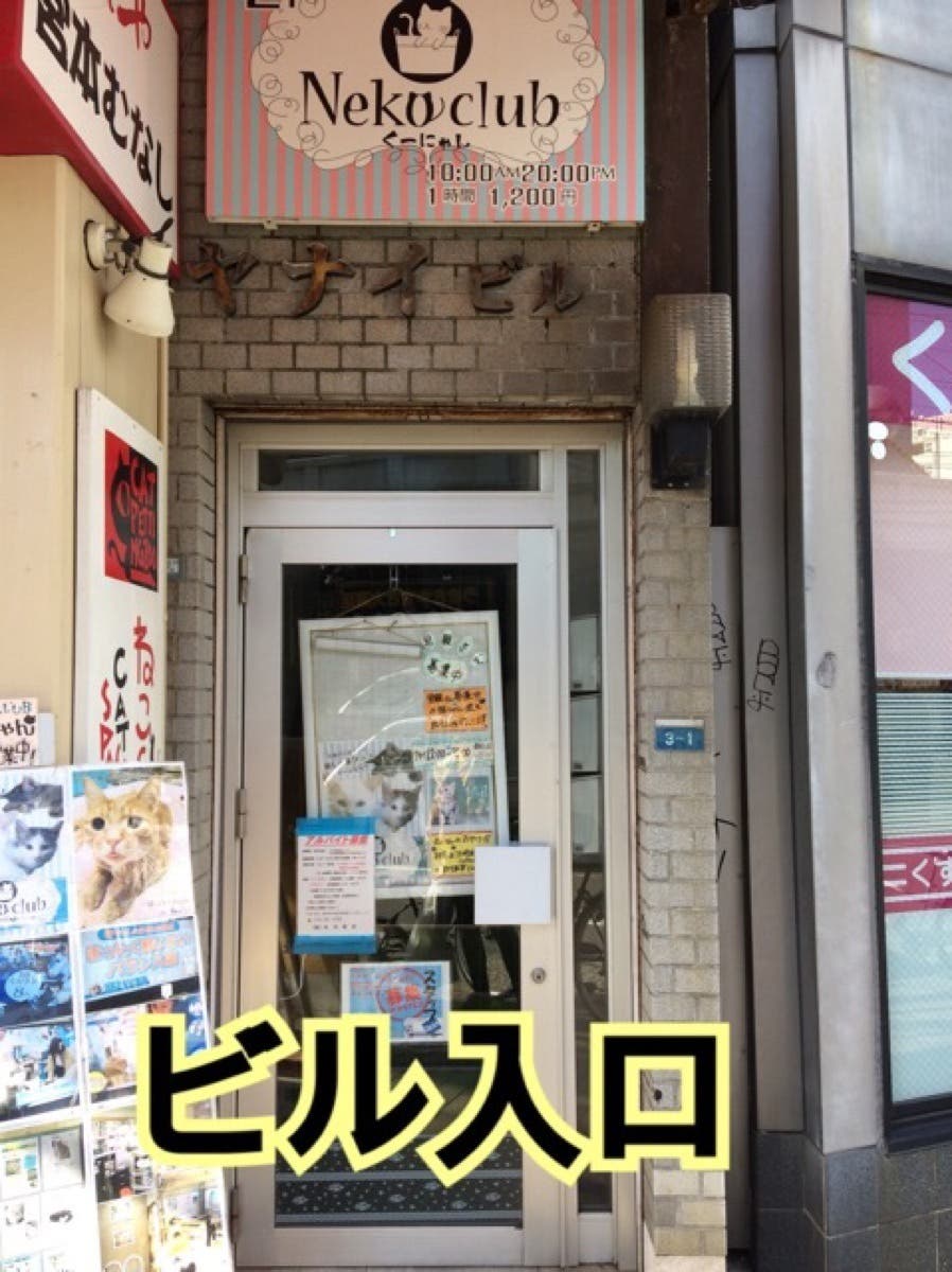 歓送迎会に🎉丸ごと貸切‼️大人数25名可✨パーティ/女子会/鑑賞会/オフ会🥂三ノ宮1分🎵【base01】の写真24