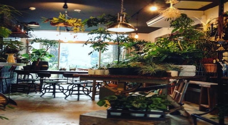 on the leaf 防音設備付きのカフェ空間でライブや撮影可能。植物に囲まれた店内で、テラス付きです。