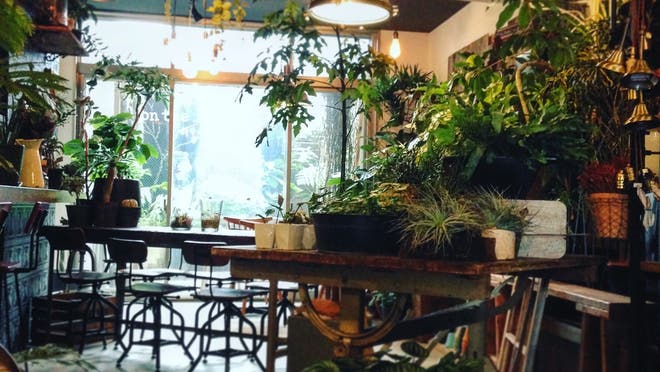 on the leaf 防音設備付きのカフェ空間でライブや撮影可能。植物に囲まれた店内で、テラス付きです。の写真1