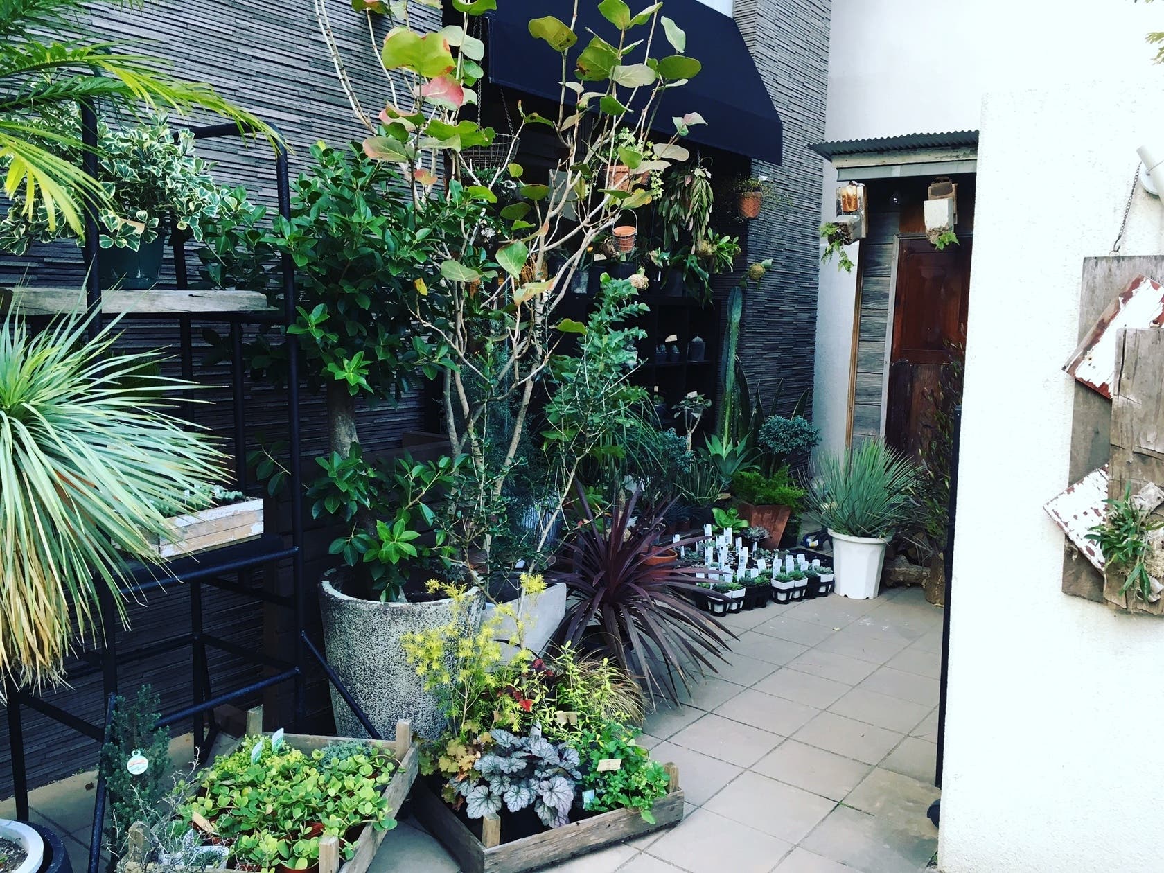 on the leaf 防音設備付きのカフェ空間でライブや撮影可能。植物に囲まれた店内で、テラス付きです。の写真4