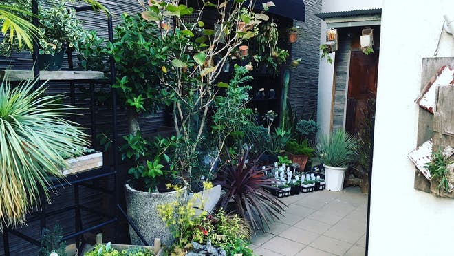 on the leaf 防音設備付きのカフェ空間でライブや撮影可能。植物に囲まれた店内で、テラス付きです。の写真4