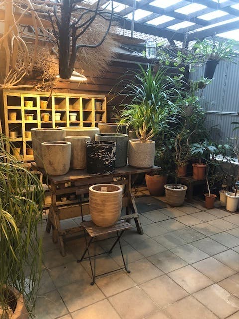 on the leaf 防音設備付きのカフェ空間でライブや撮影可能。植物に囲まれた店内で、テラス付きです。の写真5