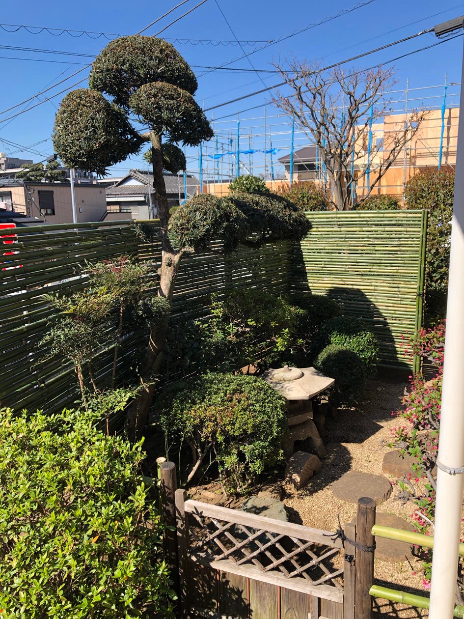 明治 大正 昭和の文豪が愛した馬込文士村、都会の避暑地の南向き高台❗️ 古民家風和室と素敵な和庭、写真撮影に最適❗️の写真11