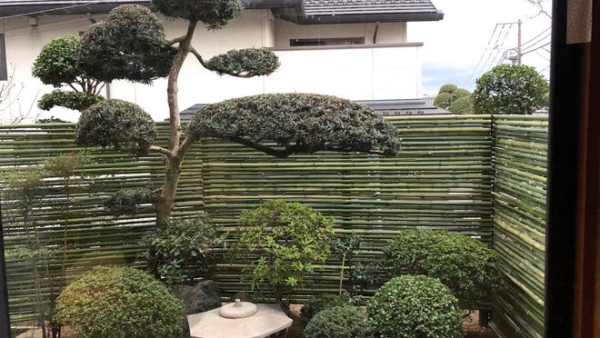 明治 大正 昭和の文豪が愛した馬込文士村、都会の避暑地の南向き高台❗️ 古民家風和室と素敵な和庭、写真撮影に最適❗️の写真10