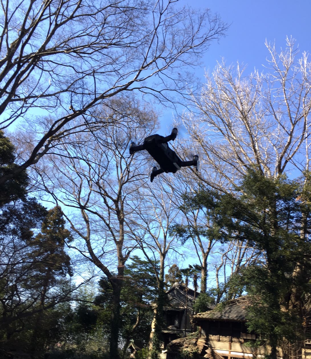  Art Village SATTE の写真10