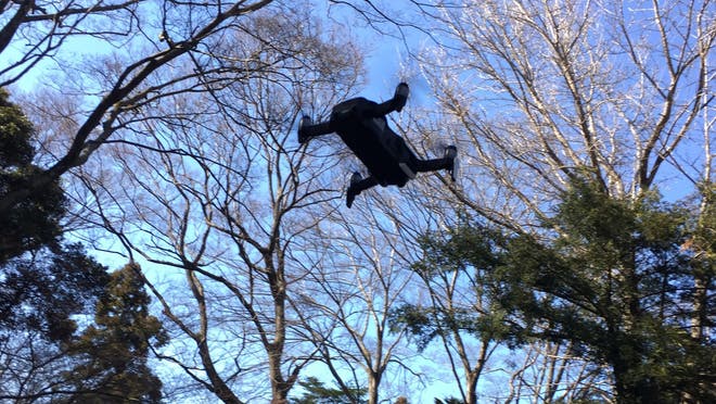 Art Village SATTE の写真10