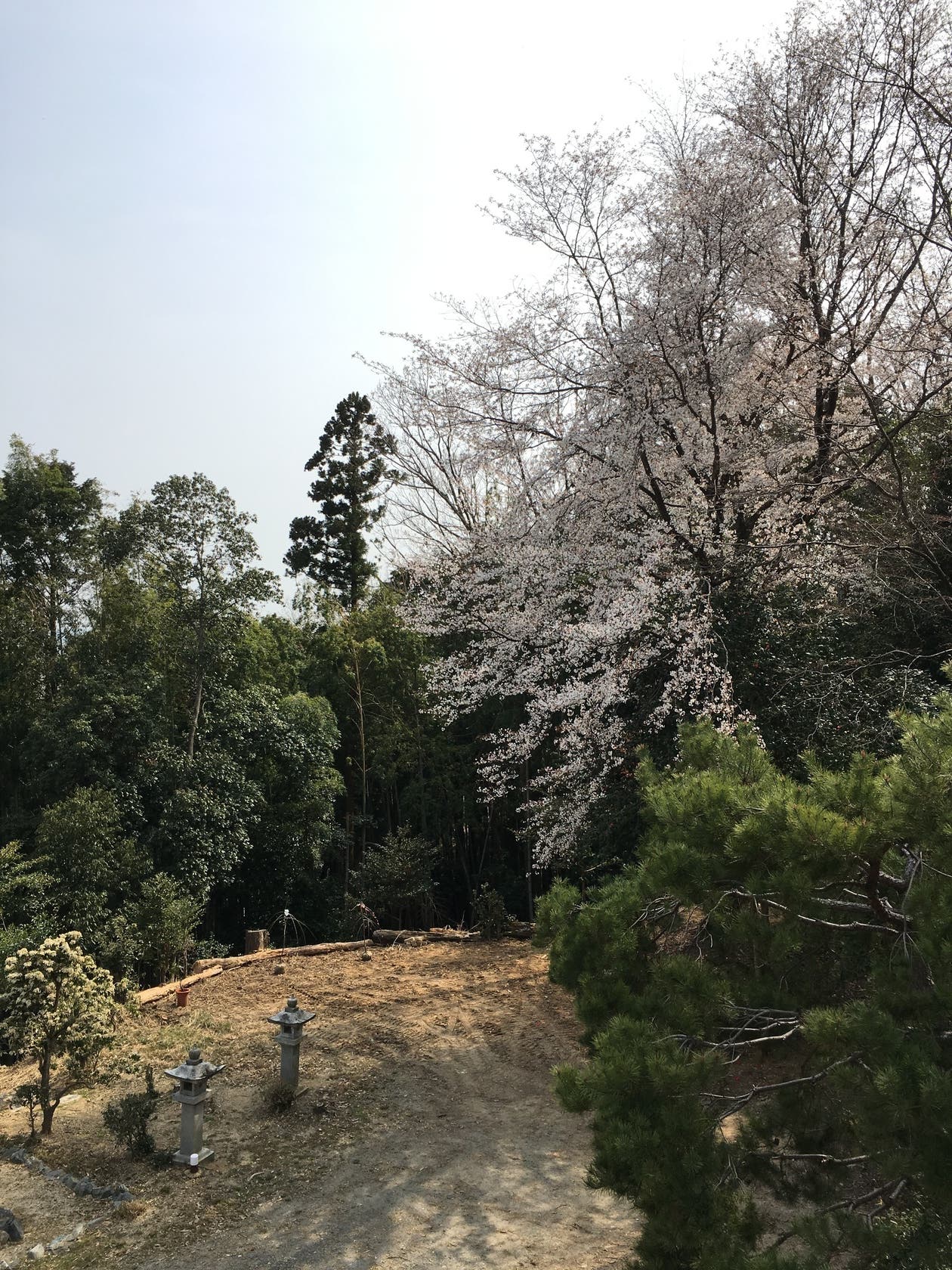 通尾天神山 松風庵　　　のど黒飴CM舞台ですの写真30