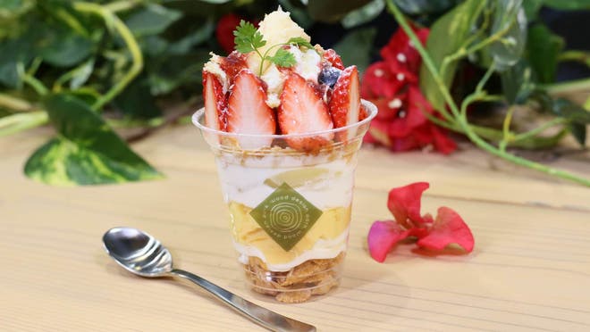 【名駅徒歩5分】最大30人収容可のゆったり広々座敷!子連れのママ会や各種イベントに!の写真9