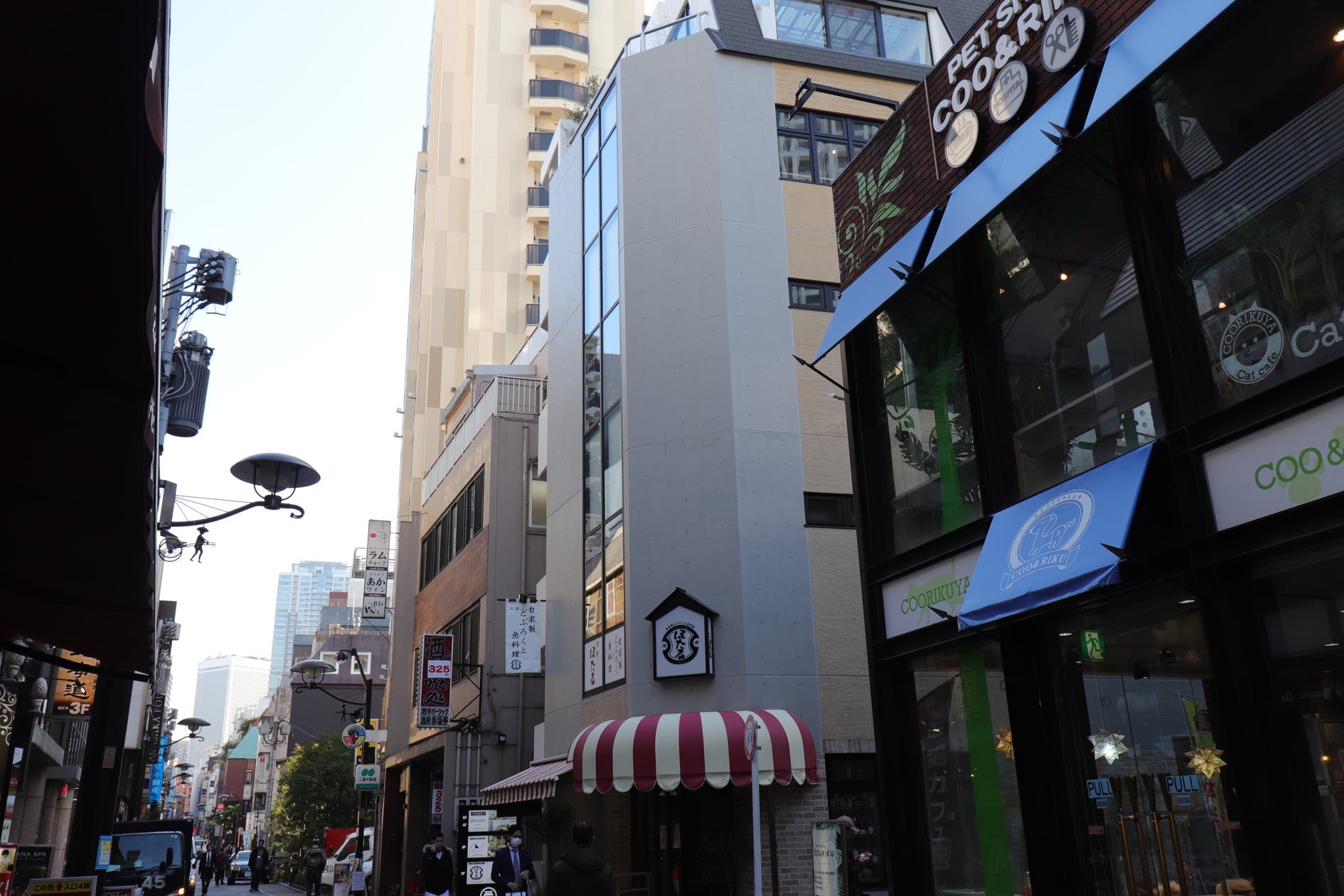 【Root Kitchen】赤坂見附駅から徒歩1分！パーティー/料理教室/撮影などに！食と地域をテーマにしたキッチンスタジオ🍅の写真9